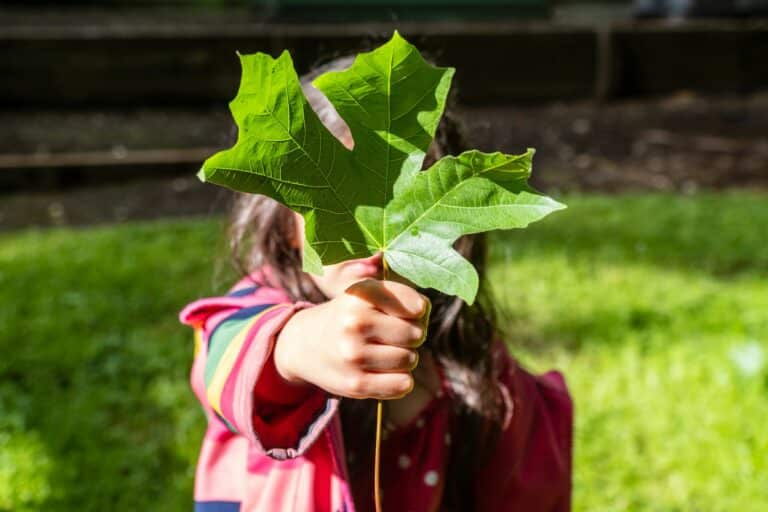 Eco and Environmental Awareness Club | Extra Curricular Club Activity